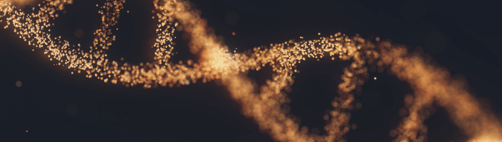 3rd Showcase 2023 - Intersect