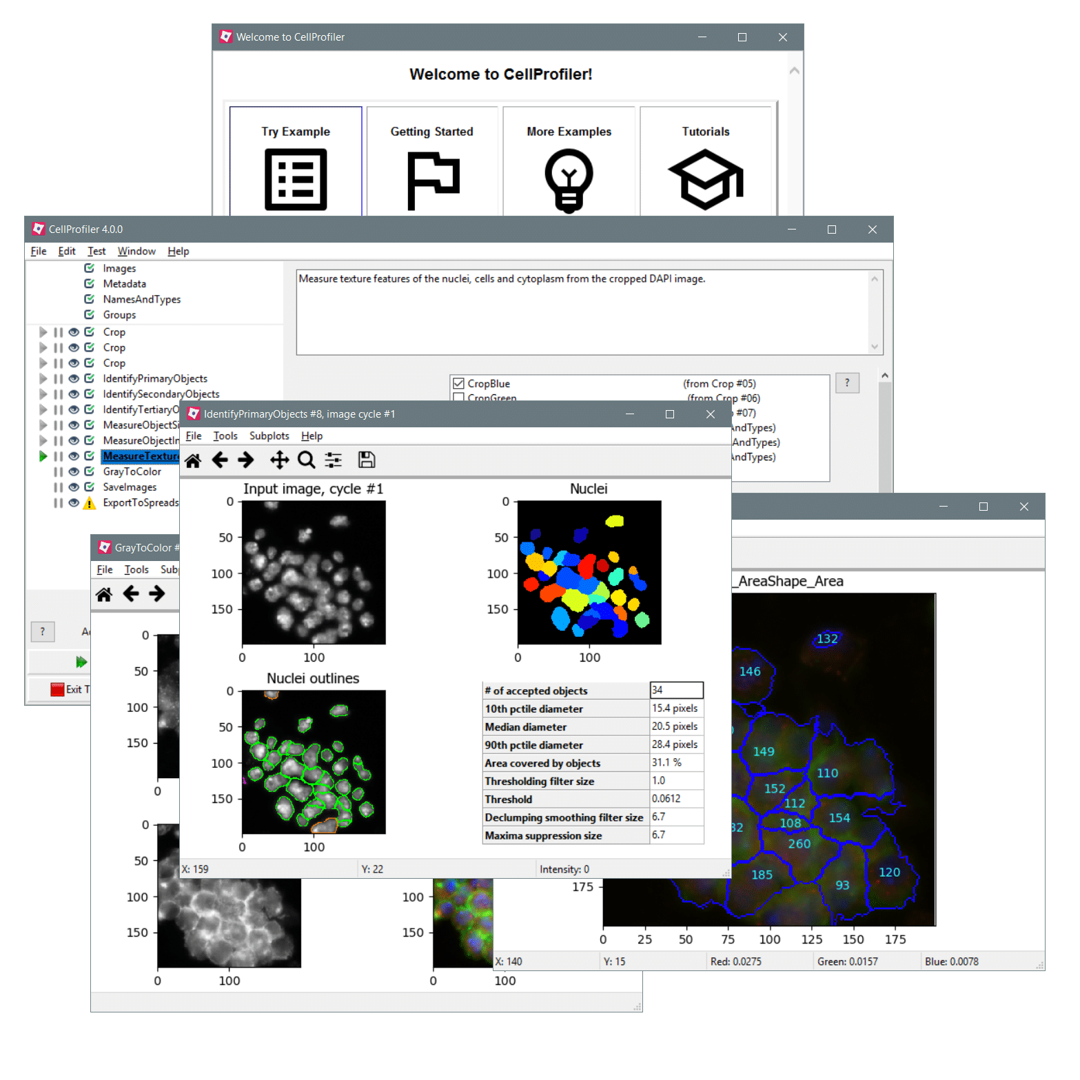 Enhancing Cancer Research Efficiency: CellProfiler on an HPC Cluster - Intersect