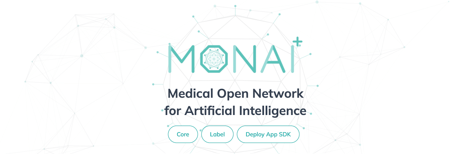 UNSW AI in Medical Imaging - MONAI - Intersect