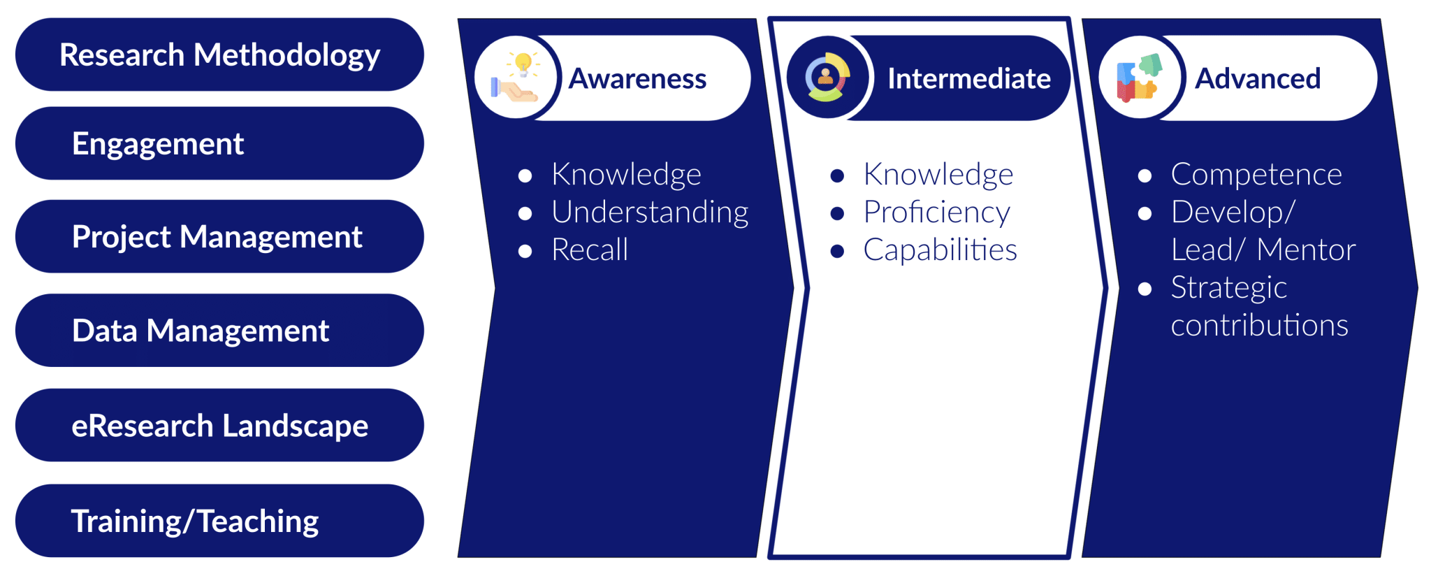 Intersect Professional Development Framework - Intersect