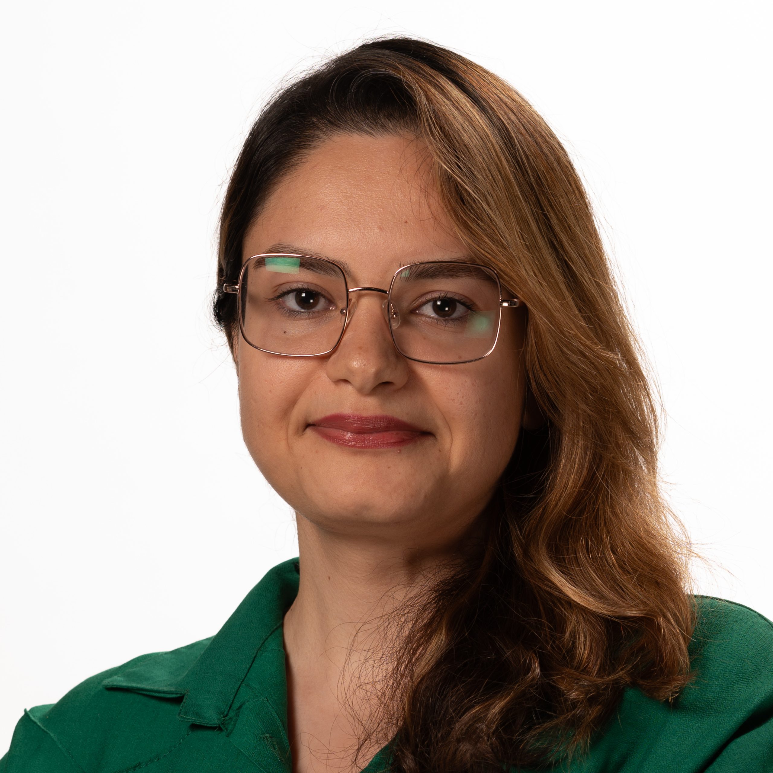 Dr. Sahar Masoudian - Intersect